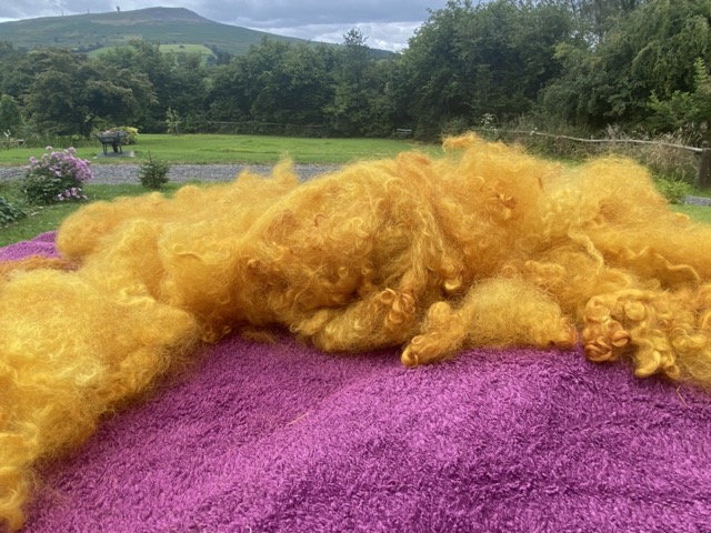 the “problem” with natural dyes – MOLLY WILLIAMS